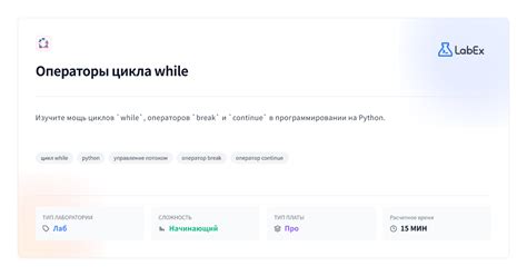 Мастерство в использовании циклов While в Python Основы управления