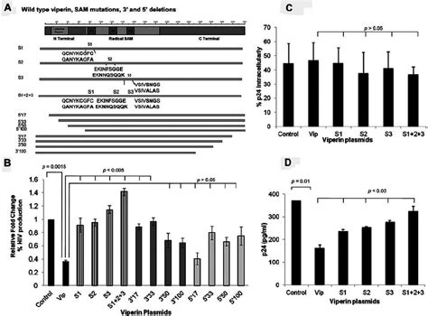 Sam Mutants Increased Hiv 1 Production In Hek293t A Schematic
