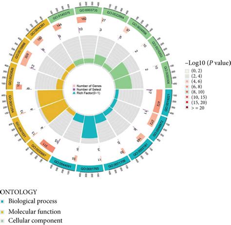 A Consensus Clustering In The “consensusclusterplus” Package Was Used