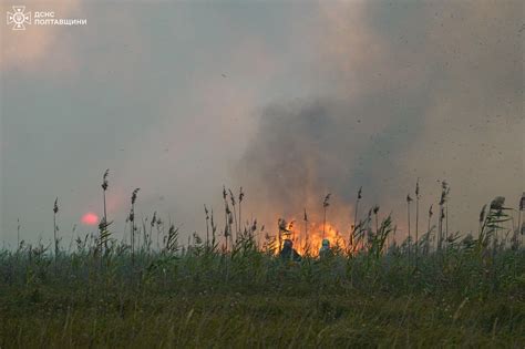 Через масштабну лісову пожежу на Новосанжарщині евакуюють жителів навколишніх сіл Решетилівщина Ua