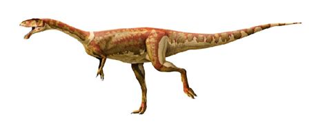 Masiakasaurus Pictures And Facts The Dinosaur Database