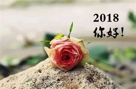 2018最美的祝愿送给你