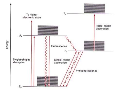 Jablonski Diagram Showing Absorption Fluorescence And Download