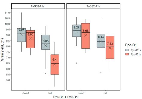 The Association Of Grain Yield And Agronomical Traits With Genes Of