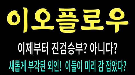 이오플로우 주가이제부터 진검승부 아니다 새롭게 부각된 외인이들은 미리 감 잡았다 이오플로우 이오플로우 주가 이오플로우 전망 이오플로우 주식 Youtube