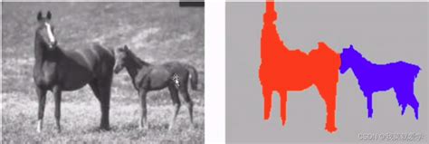 【opencv】 分水岭算法opencv分水岭算法 Csdn博客