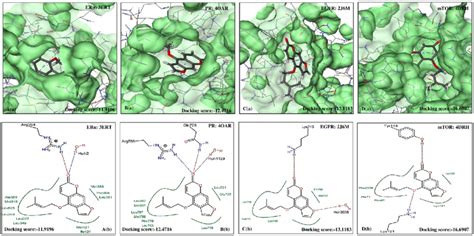 Molecular Docking Analysis Of Iso A Pose View Of Interaction Of Iso