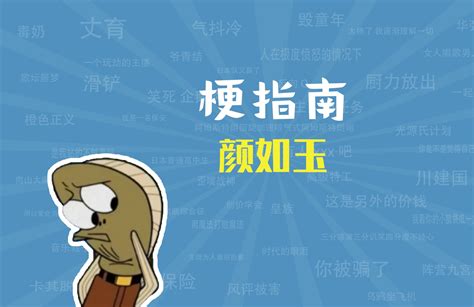 梗指南颜如玉是什么梗 梗指南 梗指南 哔哩哔哩视频