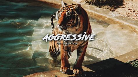 Aggressive Free Raptrap Beat Aggressive Type Beat Instrumental