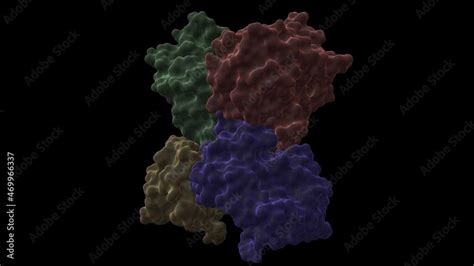Structure Of Streptococcal Pyrogenic Exotoxin A1 Spea Tetramer Animated 3d Cartoon And
