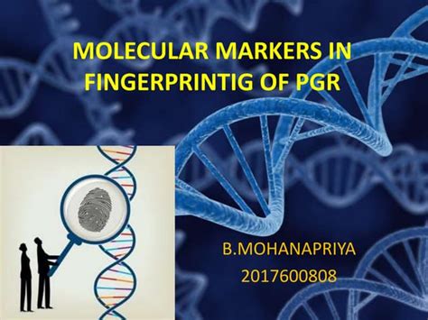 Fingerprinting Ppt