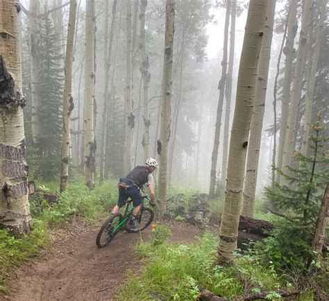 265 Best Foggy Forest Images On Pholder Earth Porn Itookapicture And