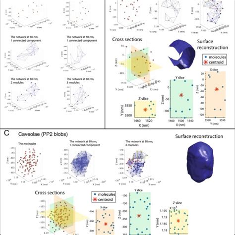 Visualization Of Representative Blobs From Pc3pc3 Ptrf Cells Blobs