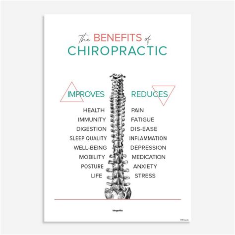 Spinal Nerve Chart Poster By Kirografiks