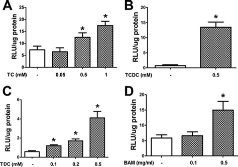 The Other Naturally Occurring Bile Acids Cause Acinar Cell Calcineurin