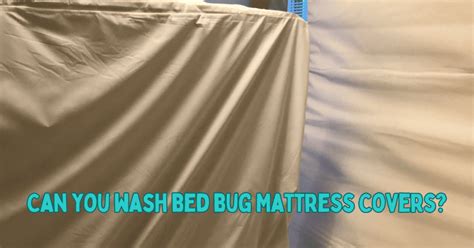Can You Wash Bed Bug Mattress Covers Heres How