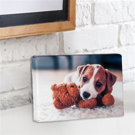 4x6 Mini Canvas Prints Photo Prints Plus
