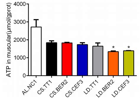 Structure And Function Of Mitochondria In Al Cs Ld Ber And Cef