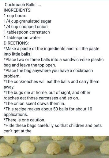 Pin On Cockroack Balls