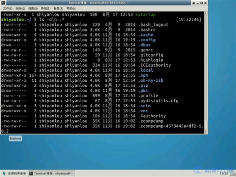 Linux操作 ls cd pwd 蓝桥云课