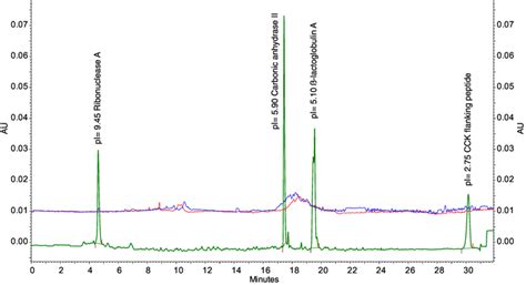 Capillary Isoelectric Focusing Of Fibrinogen Samples Superimposed