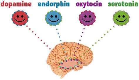 Four Hormones Which Affect Our Happiness Levels Reviewitpk