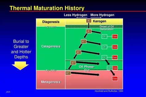 Ppt Thermal Maturation History Powerpoint Presentation Free Download Id6865371