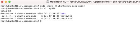 how to set permissions on files and directories on ubuntu server 20 04