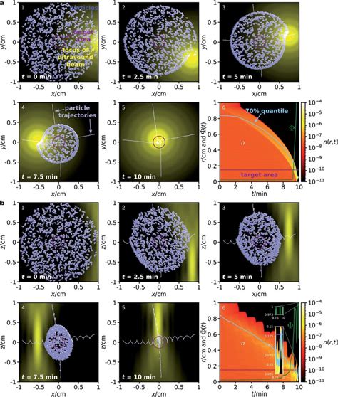 Time Evolution Of A Distribution Of N P ¼ 1000 Particles With Diameter