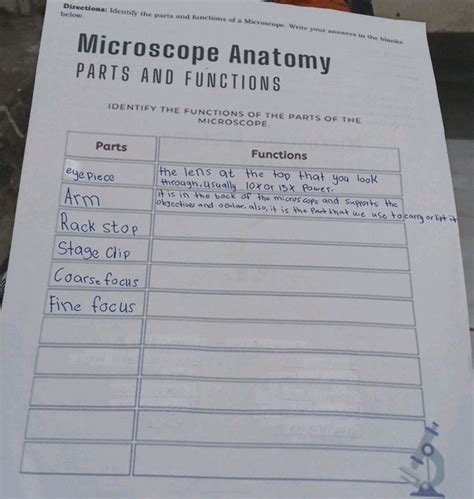 Anatomy Microscope An Functions PARTS AND StudyX