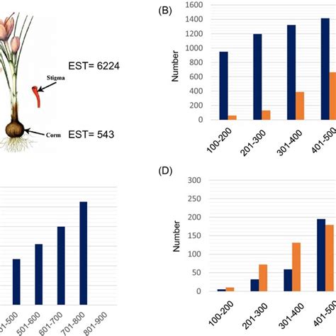 Of Expressed Sequence Tags Ests Used Cpg Islands Identified And Download Scientific Diagram