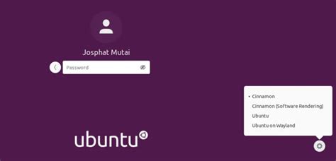 Install Cinnamon Desktop On Ubuntu Or Ubuntu ComputingForGeeks