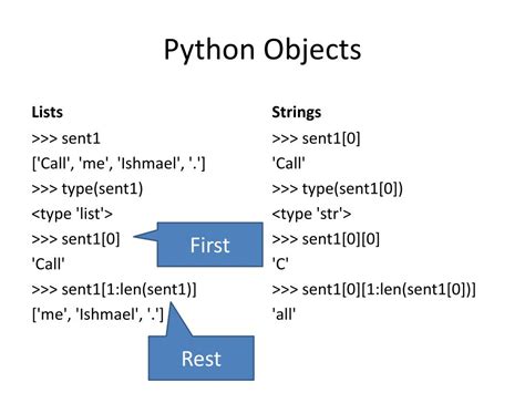 Ppt Python Programming And Nltk Homework Assistance Powerpoint