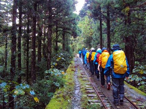 【あるく】雨の日だって登山は楽しめる！！～雨天山行の魅力～ クラブログ ～スタッフブログ～｜クラブツーリズム