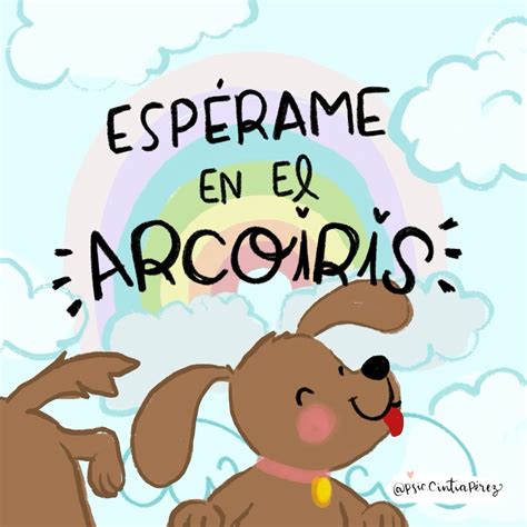 Espérame En El Arcoíris Mascotas Muerte De Un Perro Cuando Muere Un
