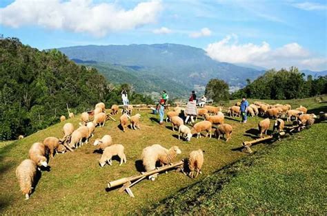 ม่อนน้องแกะ อำเภอจอมทอง จังหวัดเชียงใหม่ Facebook