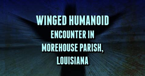 Phantoms And Monsters Real Cryptid Encounter Reports Fortean