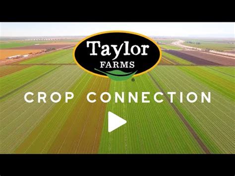 Taylor Farms Crop Connection March 2023 Youtube