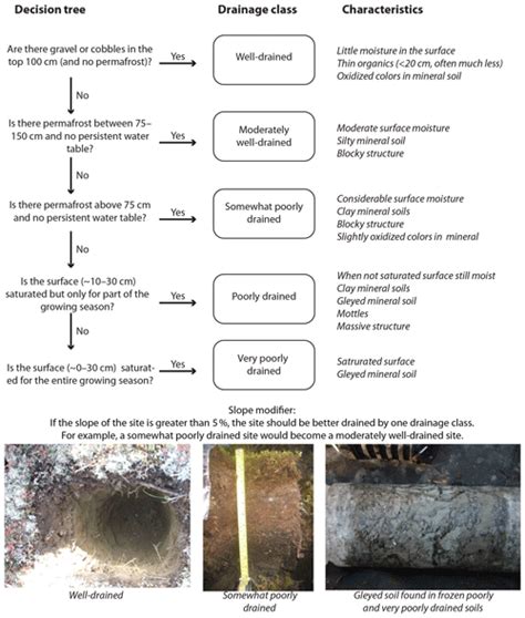 ESSD Generalized Models To Estimate Carbon And Nitrogen Stocks Of Organic Soil Horizons In
