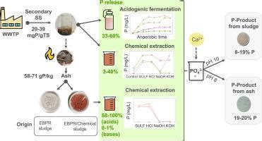Bioresource Technology X Mol