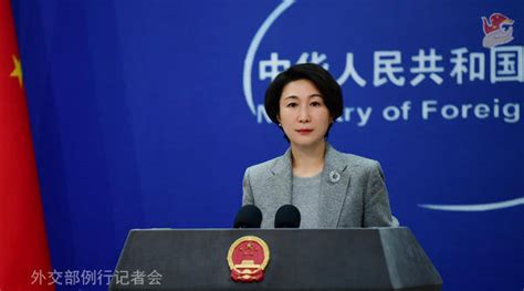 阿根廷外长与台湾“代表”进行“政府间”联系？外交部：不实炒作毛宁中国原则