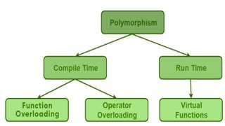 Polymorphism Pdf