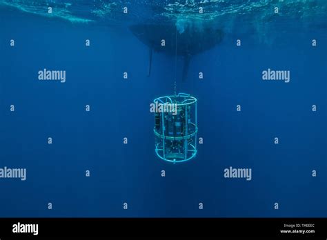 Tara Oceans Expeditions May 2011 Ctd Rosette Conductivity