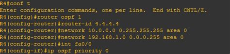 Ospf Priorities