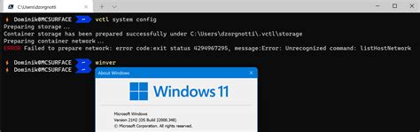 VMware Workstation Vctl Unable To Start Why Did IT Fail
