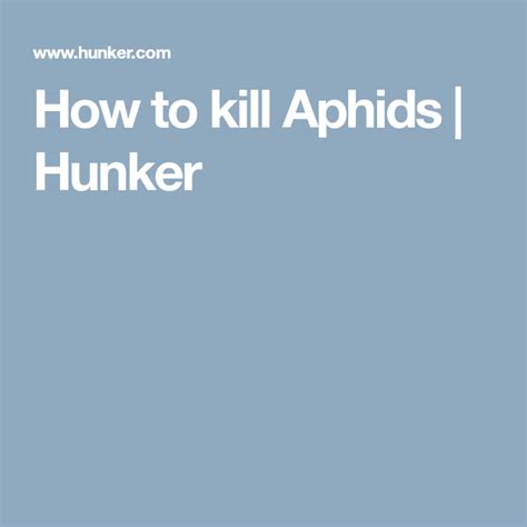 How To Kill Aphids Artofit