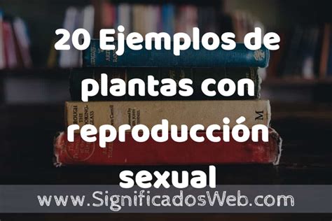 20 Ejemplos De Plantas Con Reproducción Sexual ️ Tipos Definición Y