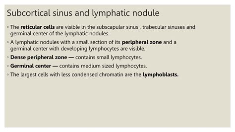 Histology Of Lymph Nodelymph Node Histology Pptx