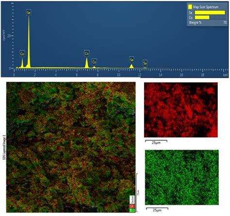 Edax Spectrum And Elemental Mapping Of The Prepared Sample Download