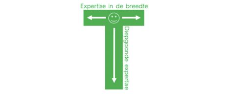 Klassieke Vs Agile Organisatiestructuren Met Voor En Nadelen